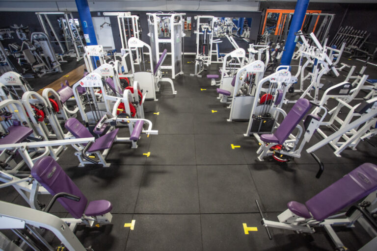 Gallery - New Next Level