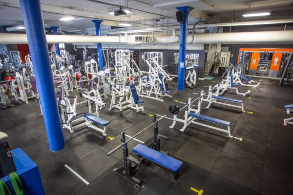 Gallery - New Next Level