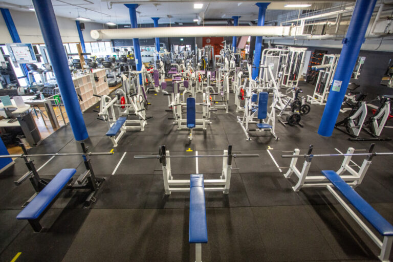 Gallery - New Next Level