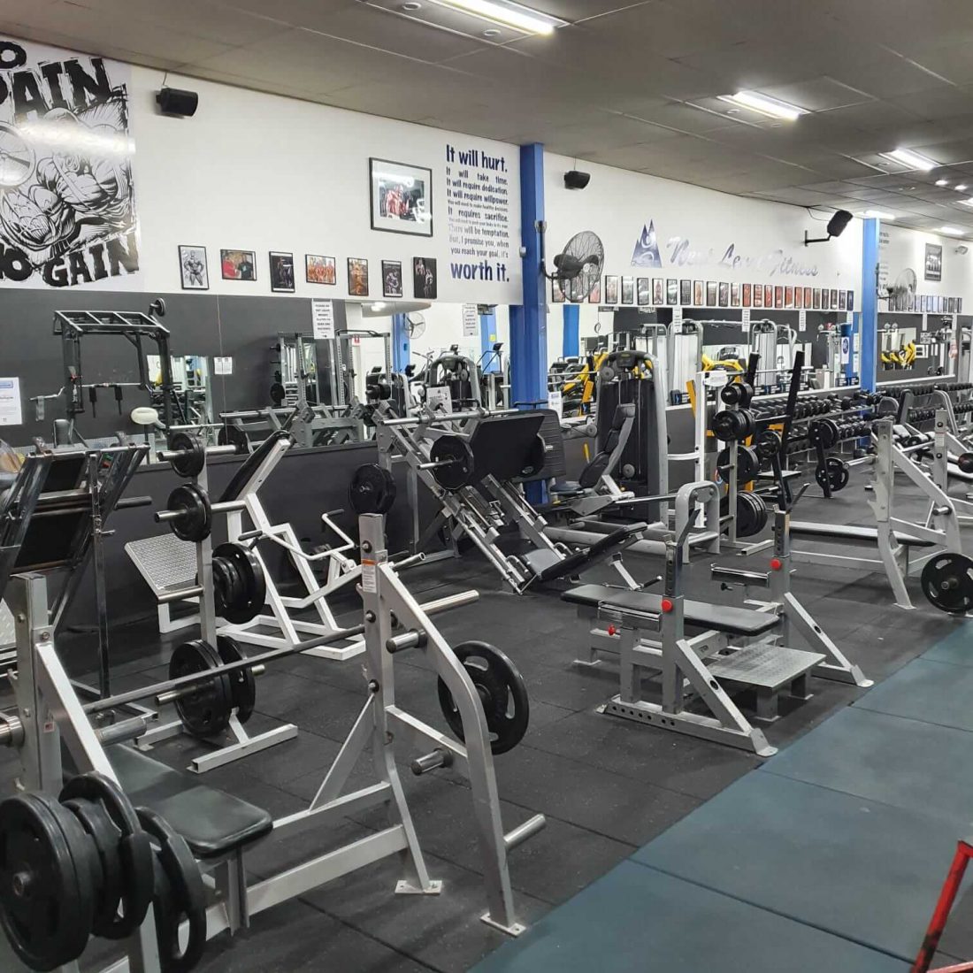 Gallery - New Next Level